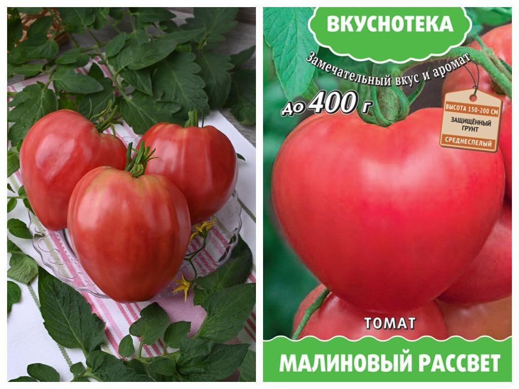 Мясистые биф томаты: выбираем крупные сорта