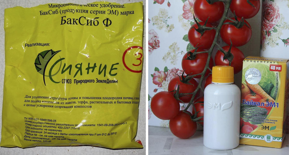ЭМ-препараты: применение и рецепты растворов