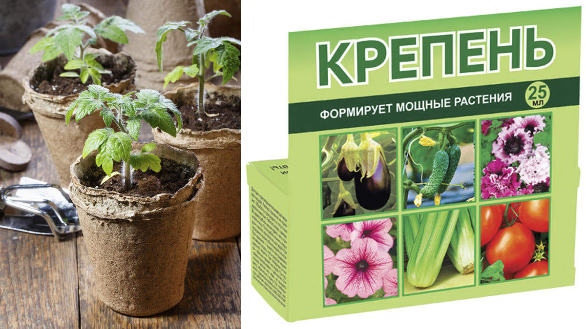 Как вырастить томаты: инструкция от компании "Ваше хозяйство"