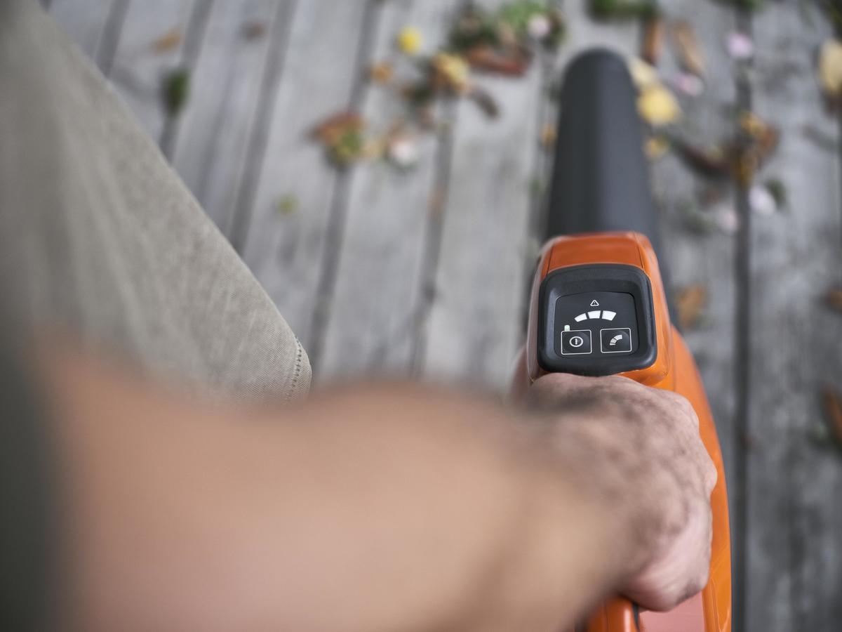 Почему важно убирать опавшую листву и как сделать это максимально легко