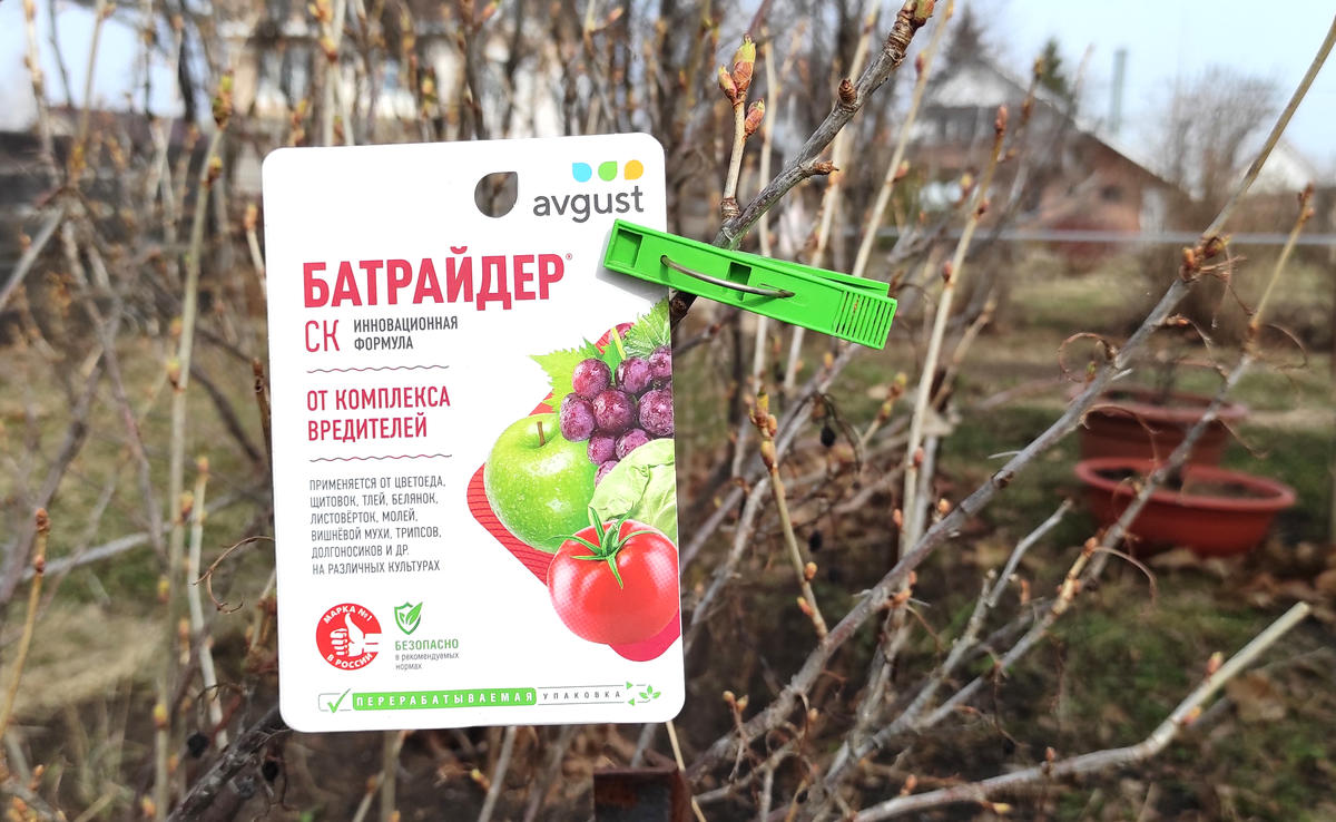 "Батрайдер" от вредителей: инструкция по применению