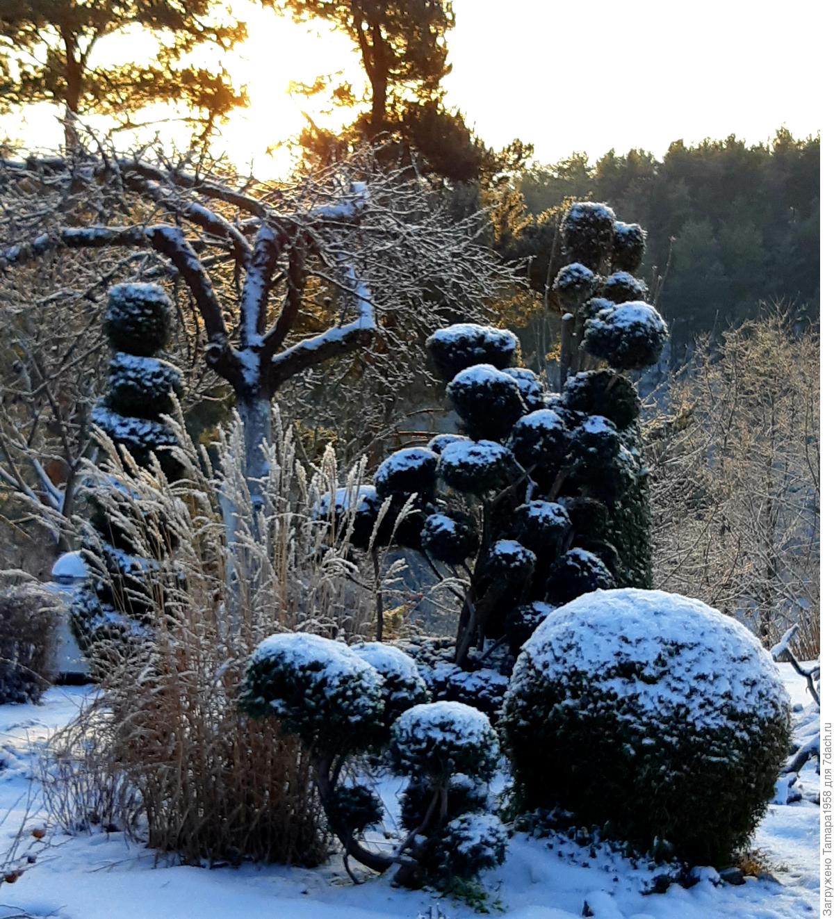 Журнал «Мой прекрасный сад» / 7dach.ru