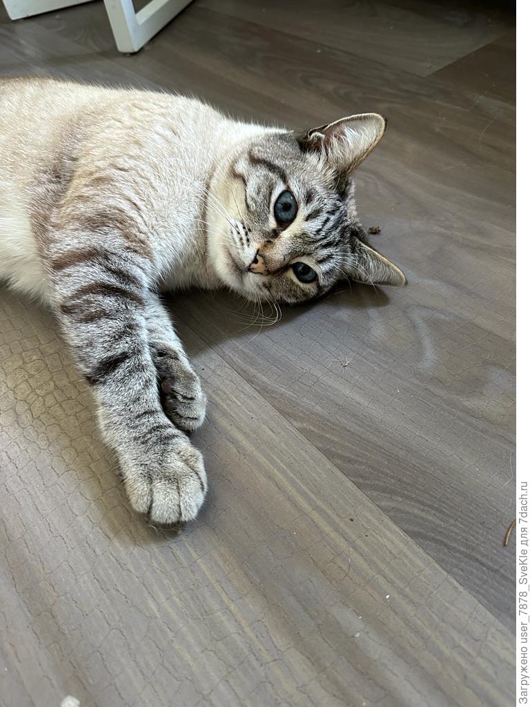 Наше родовое гнездо / 7dach.ru