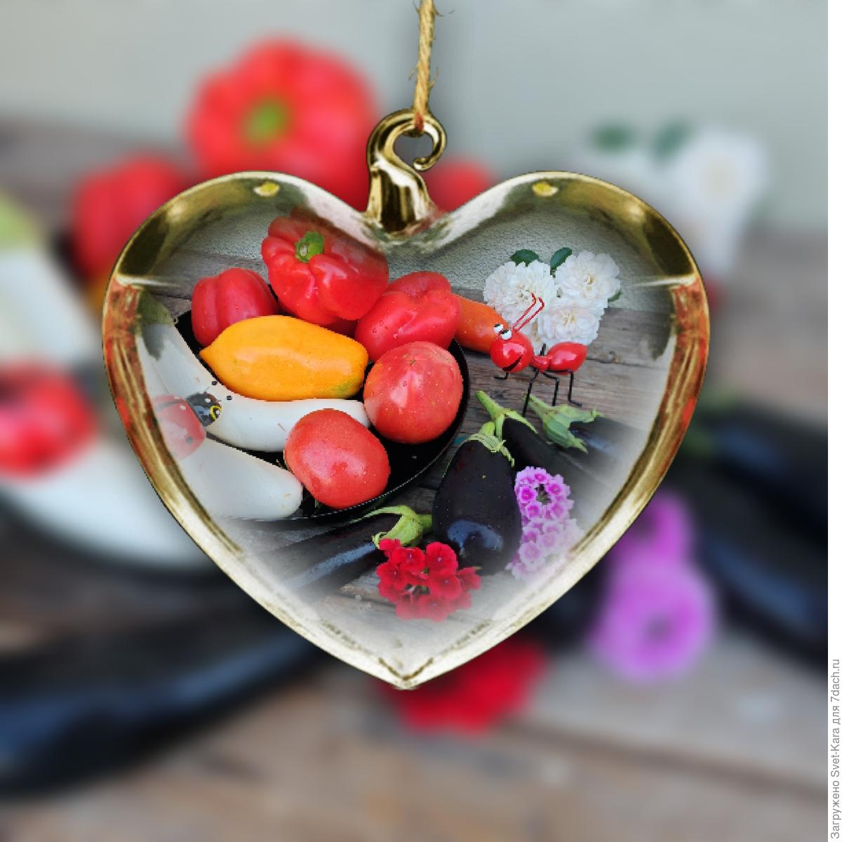 Клуб "Конкурсы" / 7dach.ru