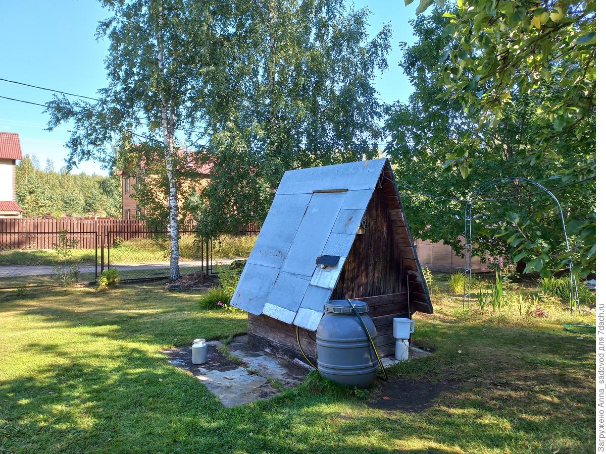 Убирать ли сосны? - ответы экспертов 7dach.ru