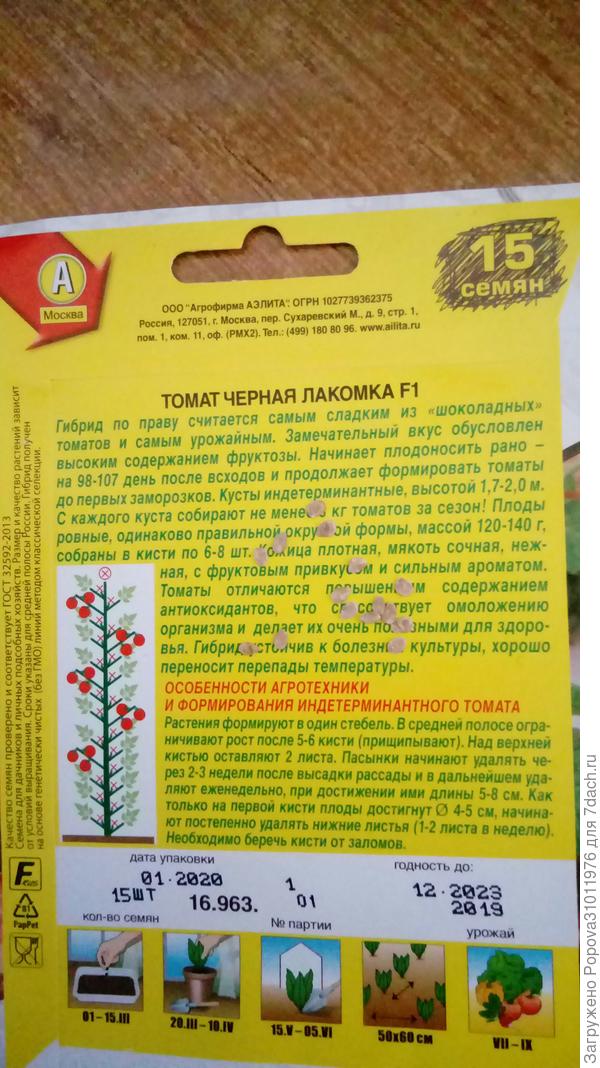 Помидорки 'Оранжевое солнце', 'Лимонные дольки', 'Толстосум' и 'Черная ...